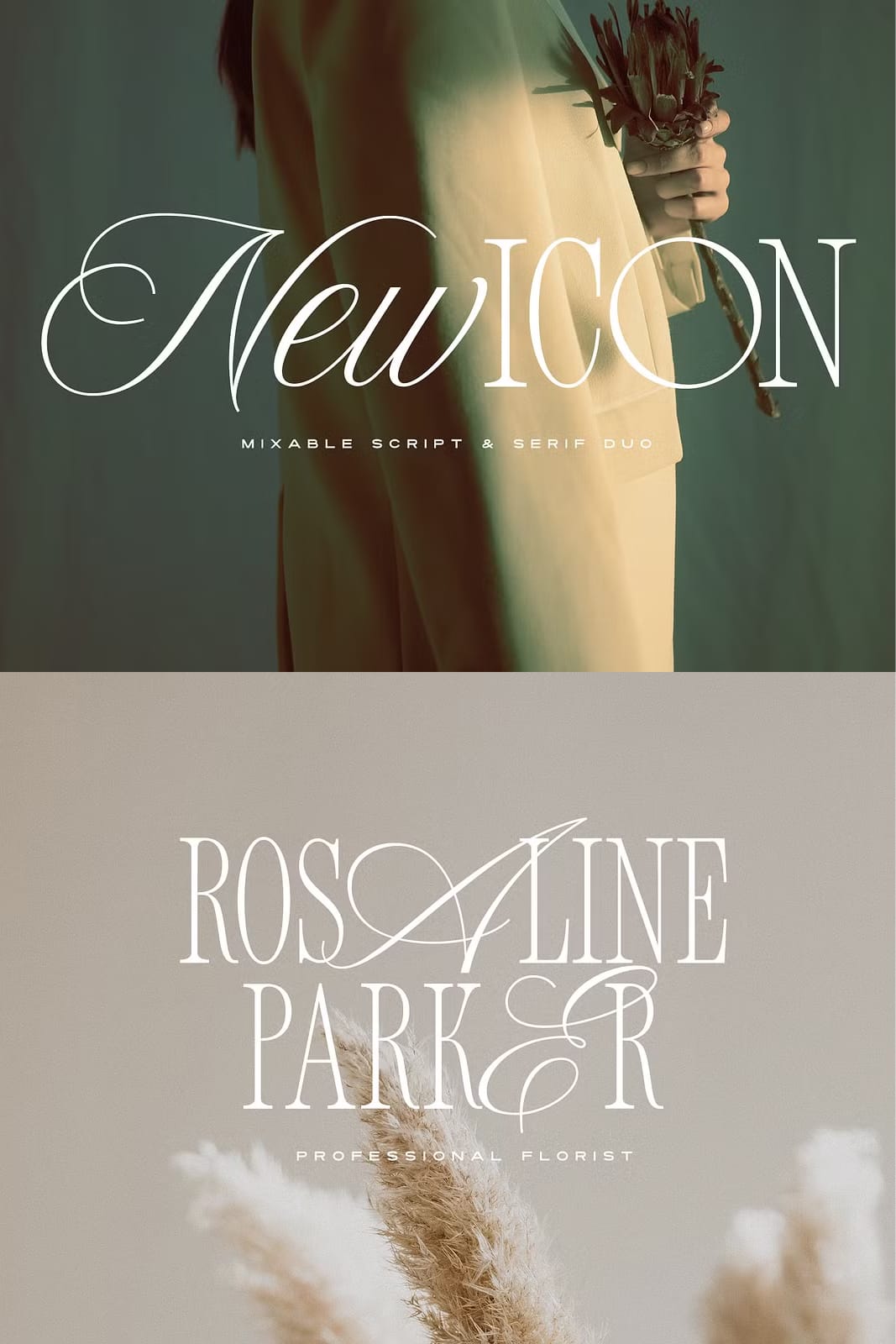 New Icon Font Duo (Updated!) - Coreografy