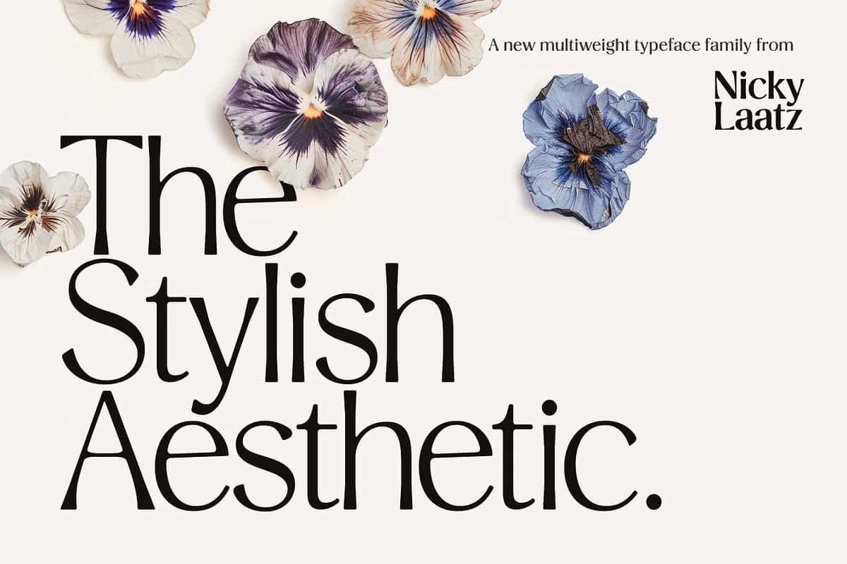 Stylish Aesthetic Typeface - Coreografy